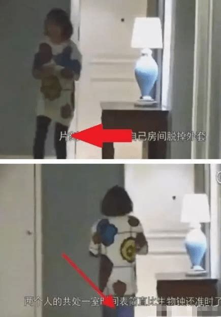 张丹峰被曝与助理毕滢注册结婚！直播带货收款方竟是毕滢，洪欣又错付了？网友老公微博
