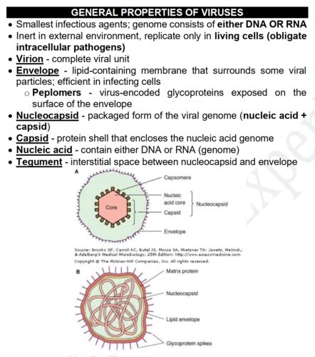 Emd Micro Virology Flashcards Quizlet
