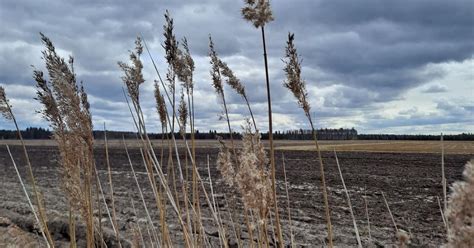 New Solutions For Data Assimilation And Communication To Improve Hydrological Modelling And