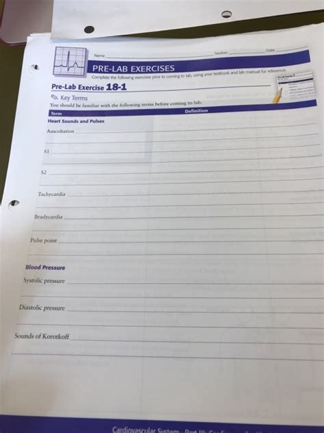 Solved Name Pre Lab Exercises Le Th Following Exercises Chegg