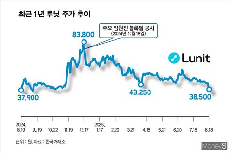 임원 블록딜에 흔들린 루닛 주가 다음 부담은 전환사채 물량 머니s