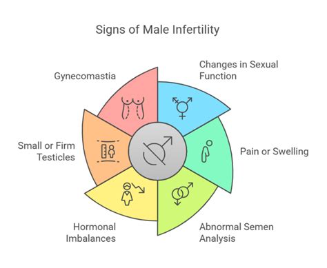 Male Infertility Your Complete Guide