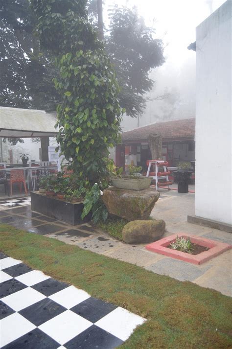 Sweet Rascal Yercaud Restaurant Reviews Photos And Phone Number