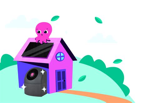 Octopus Solar Support Octopus Energy