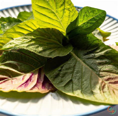 Amaranth Leaves Complete Nutrition Data Food Fact