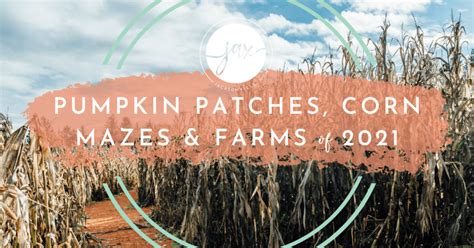 The Best Pumpkin Patches And Corn Mazes In Jacksonville