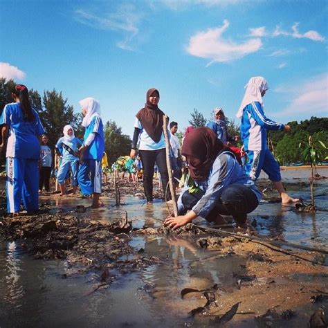 Msp Ubb Prodi Manajemen Sumberdaya Perairan