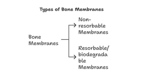 Bone Grafts And Membranes Everything Dentists Need To Know Dentalkart