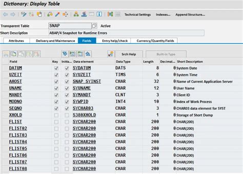 Abap 程序员必备指南：三种不同 Abap 环境下诊断运行时错误的方法揭秘 待注销 Segmentfault 思否