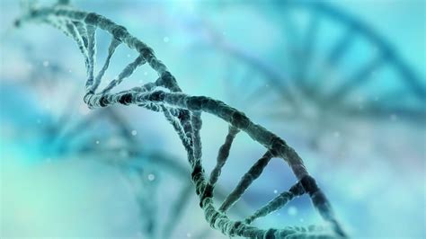 Tcd Geneticists In Breakthrough On Autism And Epilepsy The Irish Times