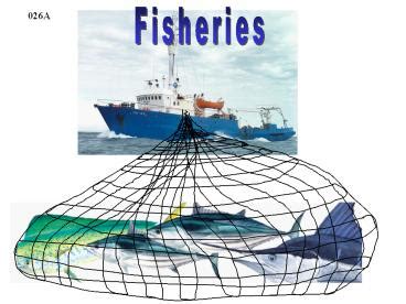 PPT Fisheries PowerPoint Presentation Free To View Id 3dd546 NGRmM