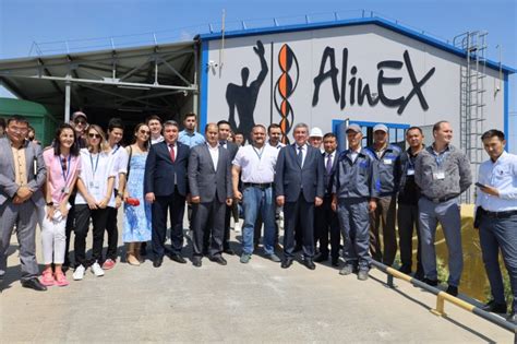 Сухие строительные смеси AlinEX. Сухие отделочные материалы для стен и ...