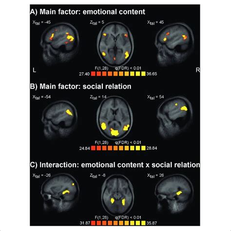 The General Aggression Model Episodic Processes Download