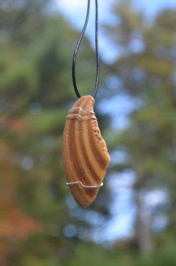 Dejavu Designs Wire Wrapped Striped Sea Shell Necklace