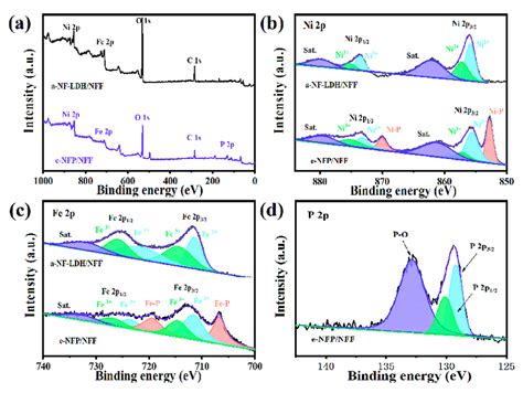Xps Analysis A Xps Survey Spectra Of A Nf Ldhnff And E Nfpnff And Download Scientific Xps Analysis A Xps Survey Spectra Of A Nf Ldhnff And E Nfpnff And Download Scientific
