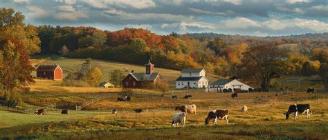 Pennsylvania Farmers Detained For Unlicensed Ultrasounds Remain In Jail