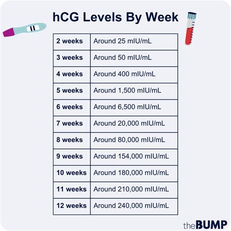 4 Weeks Pregnant Hcg Levels Gestational Trophoblastic Disease Molar