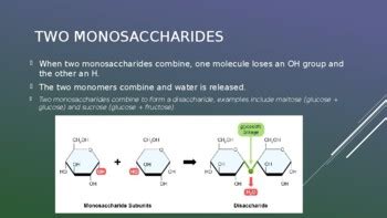 Carbohydrates And Lipids IB Biology SL By Rodrigo Cardenas TPT