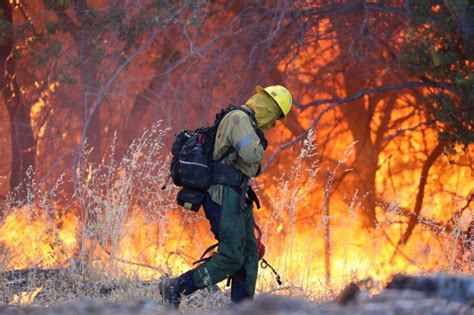 The Role Of Ai In Wildfire Risk Prediction Mitigation And Management … Jeanne Gervin Mba