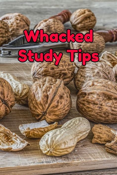 10 Study Hacks That Will Help You Ace Your Final Exams Study Tips