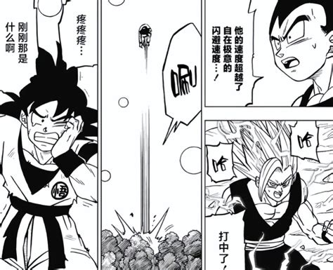 龍珠超：維斯盛讚野獸悟飯實力 應該是黑鐵弗利薩之下第一人 宅中地