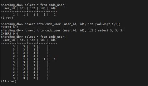 Execute Insert Into Select Shardingsphere Insert The Same Record
