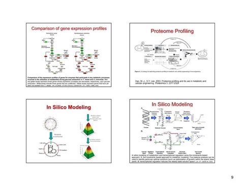 Lecture 4 Metabolic Pathway Eng Pdf
