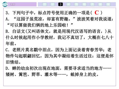 2023届高职高考专题复习：标点符号使用规范练习题 共44张ppt 21世纪教育网