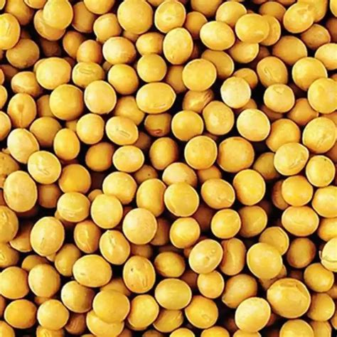 Soybean Taiho Color Sorter