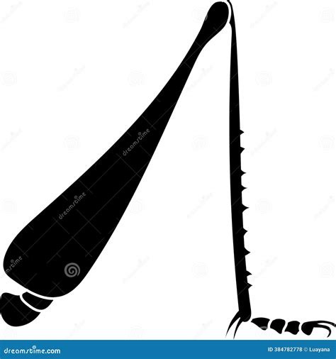 Tibia Silhouette Vector Illustration An Integral Part Of The Skeleton Isolated White