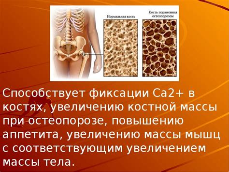 Анаболические стероиды