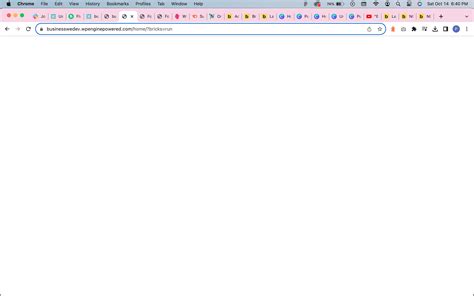 no bug bricks editor not loading on home page bugs bricks