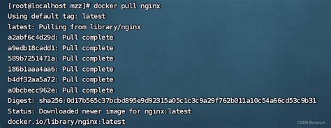 docker基本使用 finalshell安装docker csdn博客