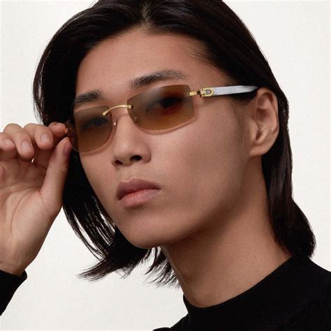 Buffalo Horn Glasses Designer Eyes