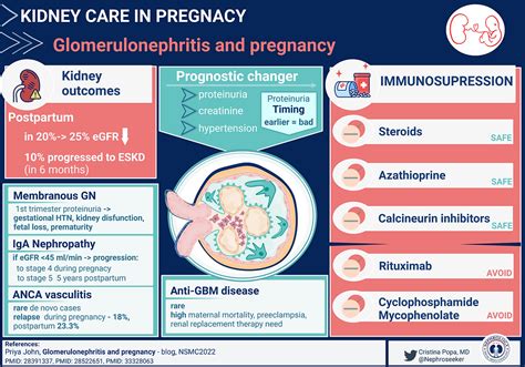 Primary Glomerulonephritis And Pregnancy