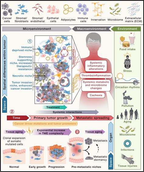 Embracing Cancer Complexity Hallmarks Of Systemic Disease Cell
