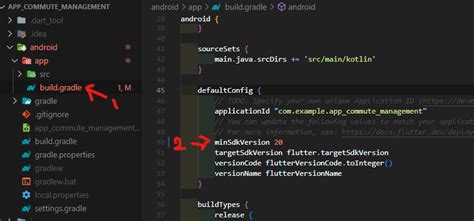 Flutter Google Map Api Geolocator