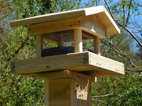 The 6 Best Post Mounted Bird Feeders Bird Feeder Hub