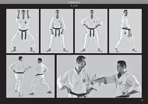 Wadokai Chinto The Digi Dojo