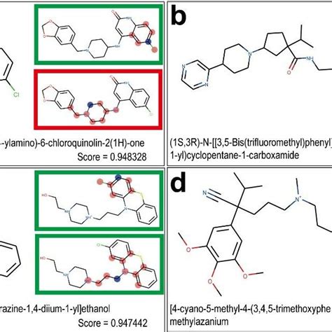 True Positive Herg Blockers And Their Highlighted Substructures By