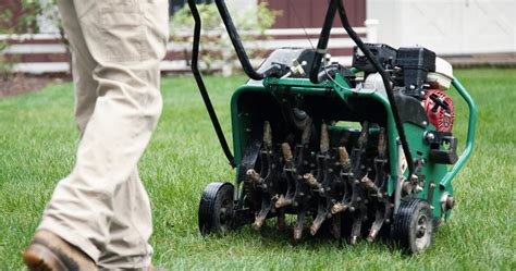 Chattanooga Lawn Aeration Overseeding Services Champion Green