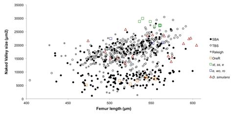 Figure S1 Distribution Of Naked Valley Sizes Among D Melanogaster