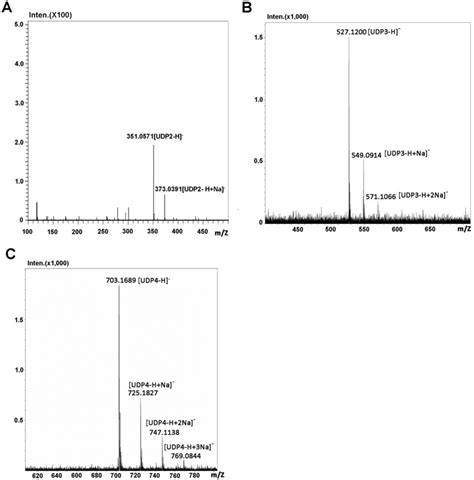 A Bifunctional Endolytic Alginate Lyase With Two Different Lyase Catalytic Domains From Vibrio