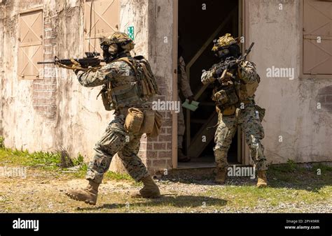 U S Marines With 1st Battalion 5th Marine Regiment 1st Marine
