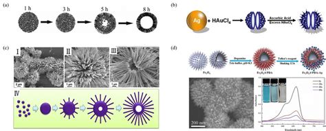 Examples Of The Preparation Of Urchin Like Hollow Micro Nanoparticles Download Scientific