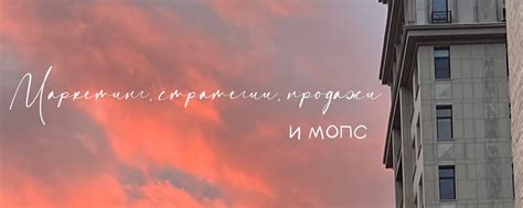 Даша следопыт контента Контент маркетолог стратег который