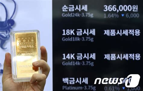 금시세 고공행진 뉴스1