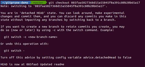 How To Use Git Prune NoloWiz
