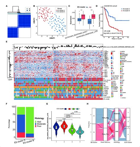 Clinical Characteristics Of Es Clusters In The Gse89749 Cohort A