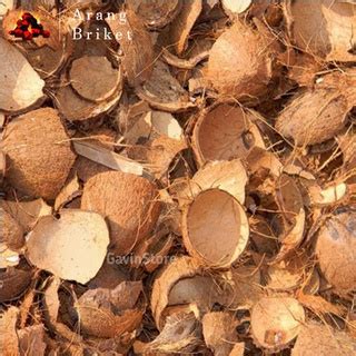 Jual TEMPURUNG BATOK KELAPA 1kg CACAH KERING SIAP PAKAI KUALITAS SUPER